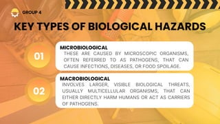 Typical Chemical Hazards and biological hazards.pdf