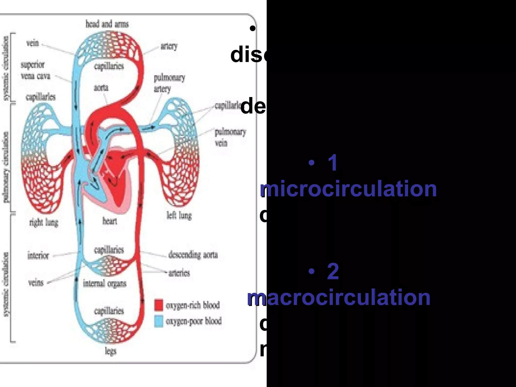 Typical disorders of peripheral blood flow | PPT