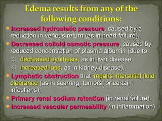 Typical disorders of peripheral blood flow | PPT
