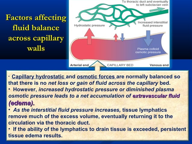 Typical disorders of peripheral blood flow | PPT