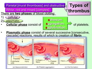 Typical disorders of peripheral blood flow | PPT