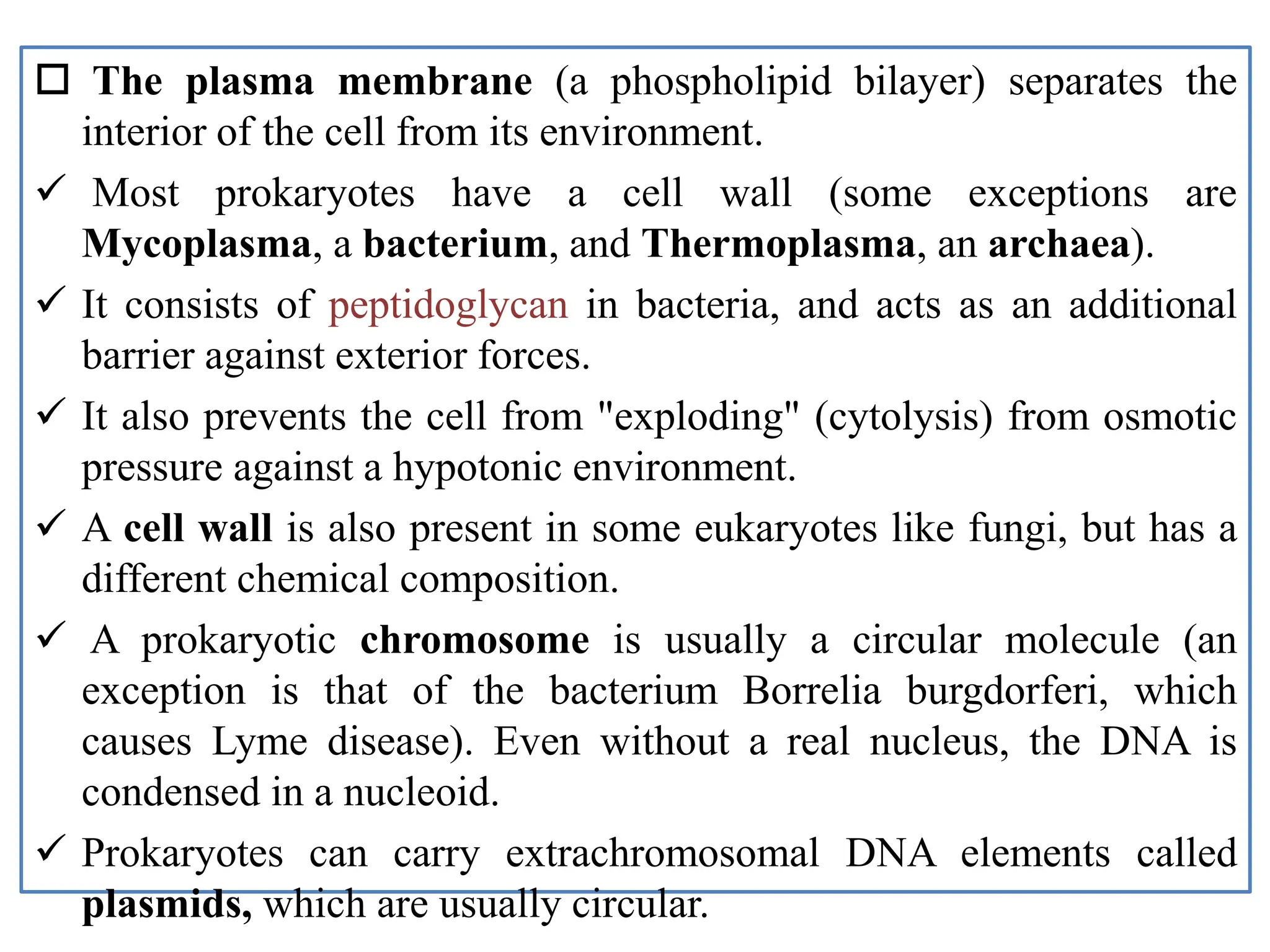 Typical structure of Fungi cell.pptx