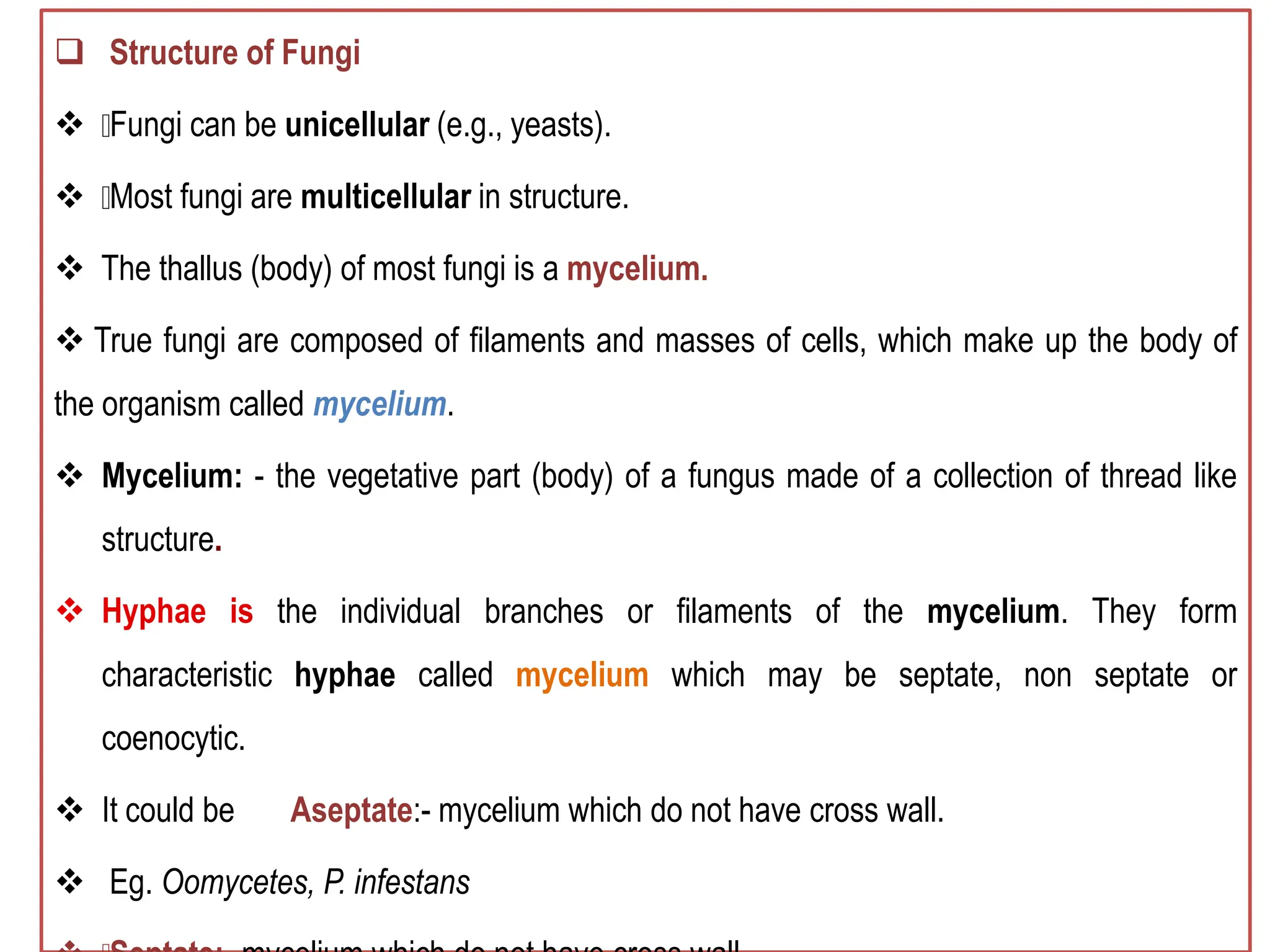 Typical structure of Fungi cell.pptx