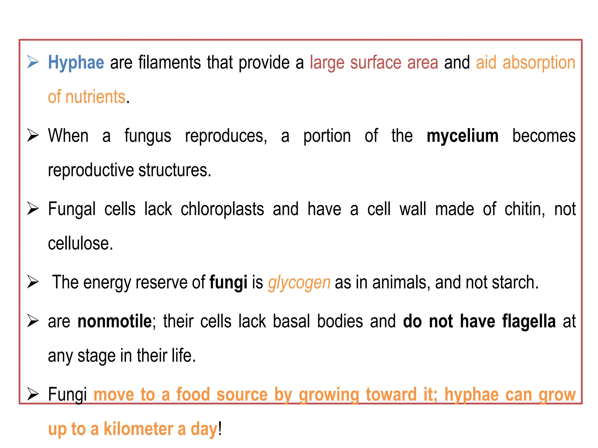 Typical structure of Fungi cell.pptx