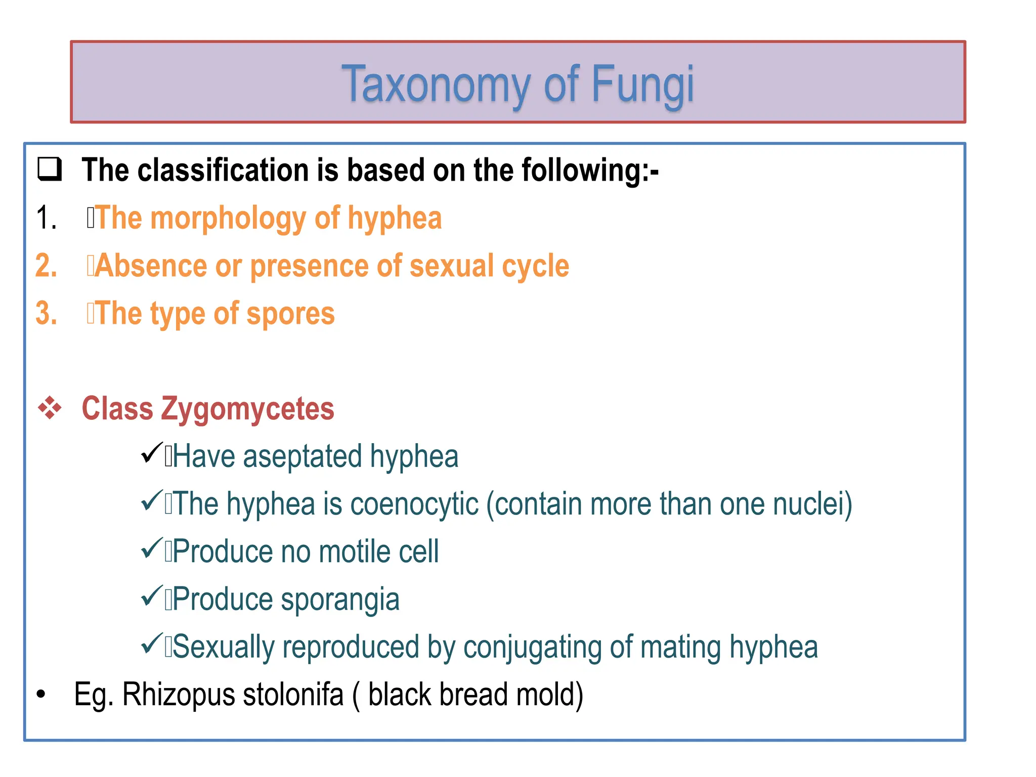 Typical structure of Fungi cell.pptx