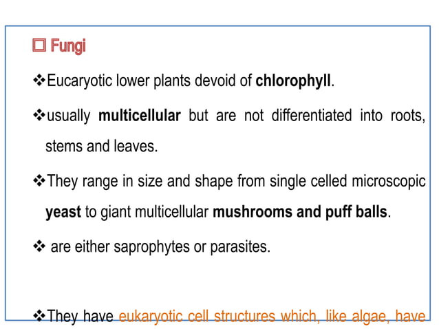 Typical structure of Fungi cell.pptx