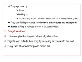 Typical structure of Fungi cell.pptx
