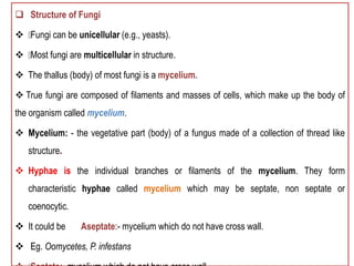 Typical structure of Fungi cell.pptx