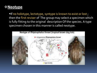 typification and type.pptx