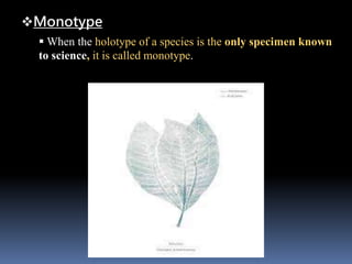 typification and type.pptx