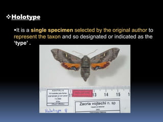 typification and type.pptx