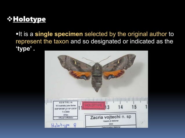 typification and type.pptx