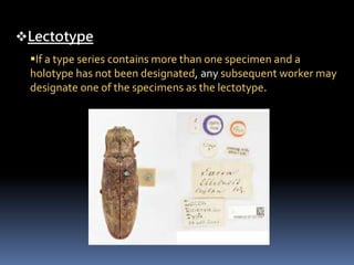 typification and type.pptx