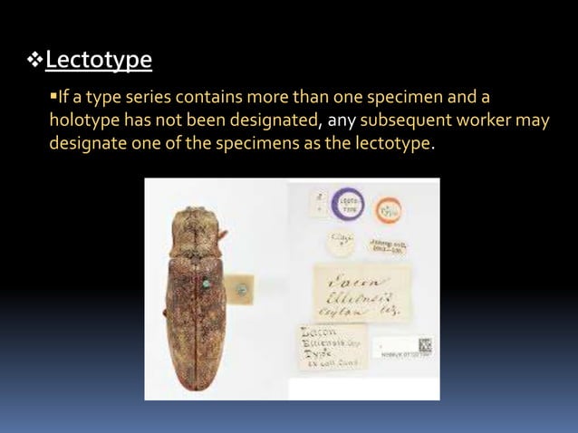 typification and type.pptx