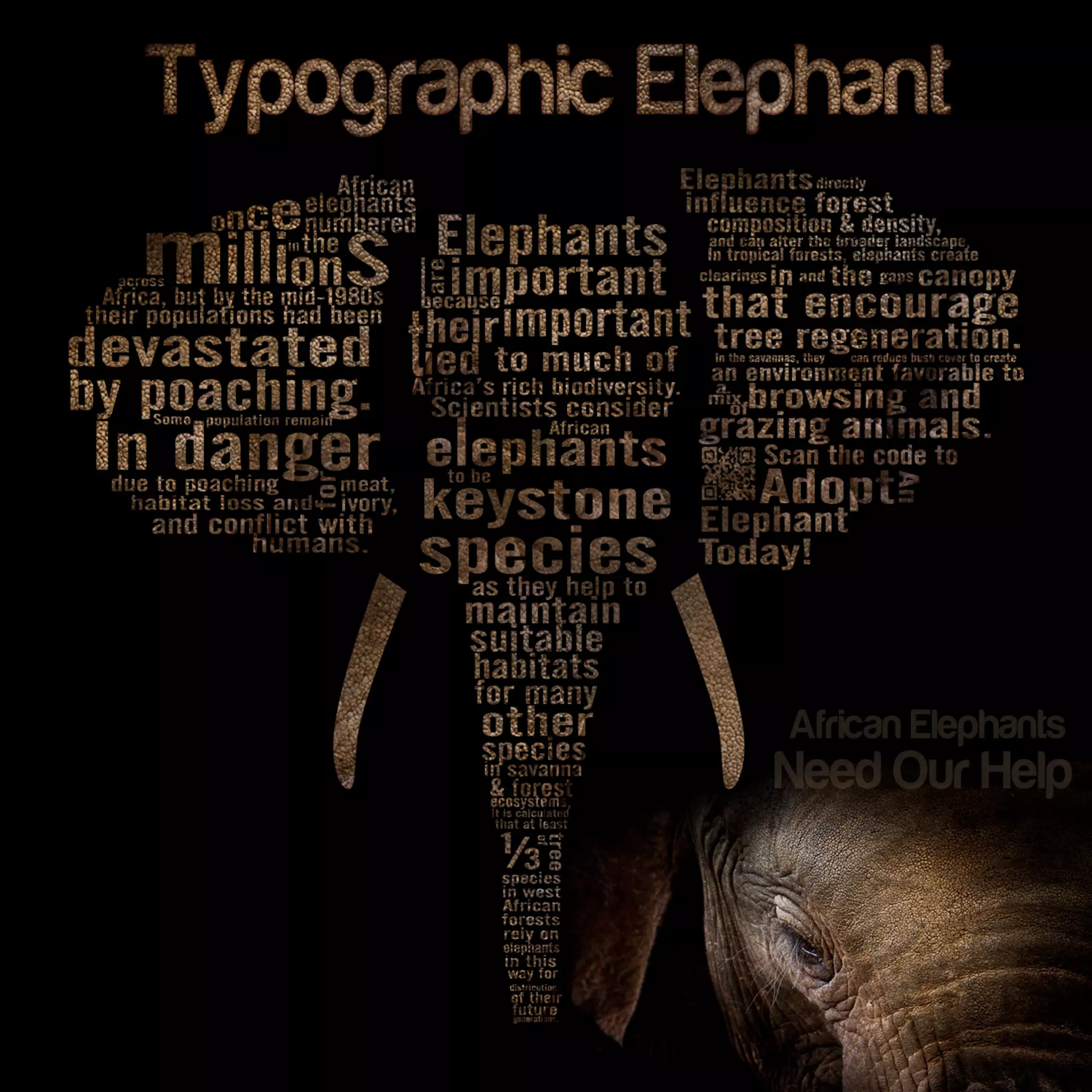 Typographic elephant-infographic-2 | PDF