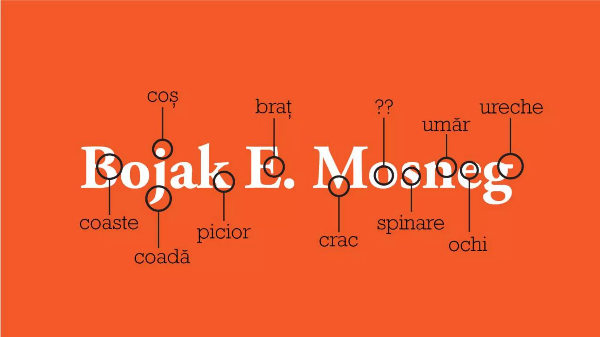 Typography 101 | PPTX