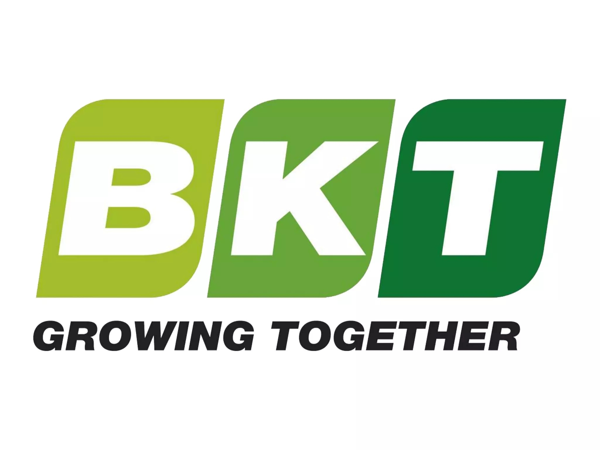 overview of JK tyres, TVS Tyres, BKT Tyres | PPTX | Business Accounting & Finance | Business