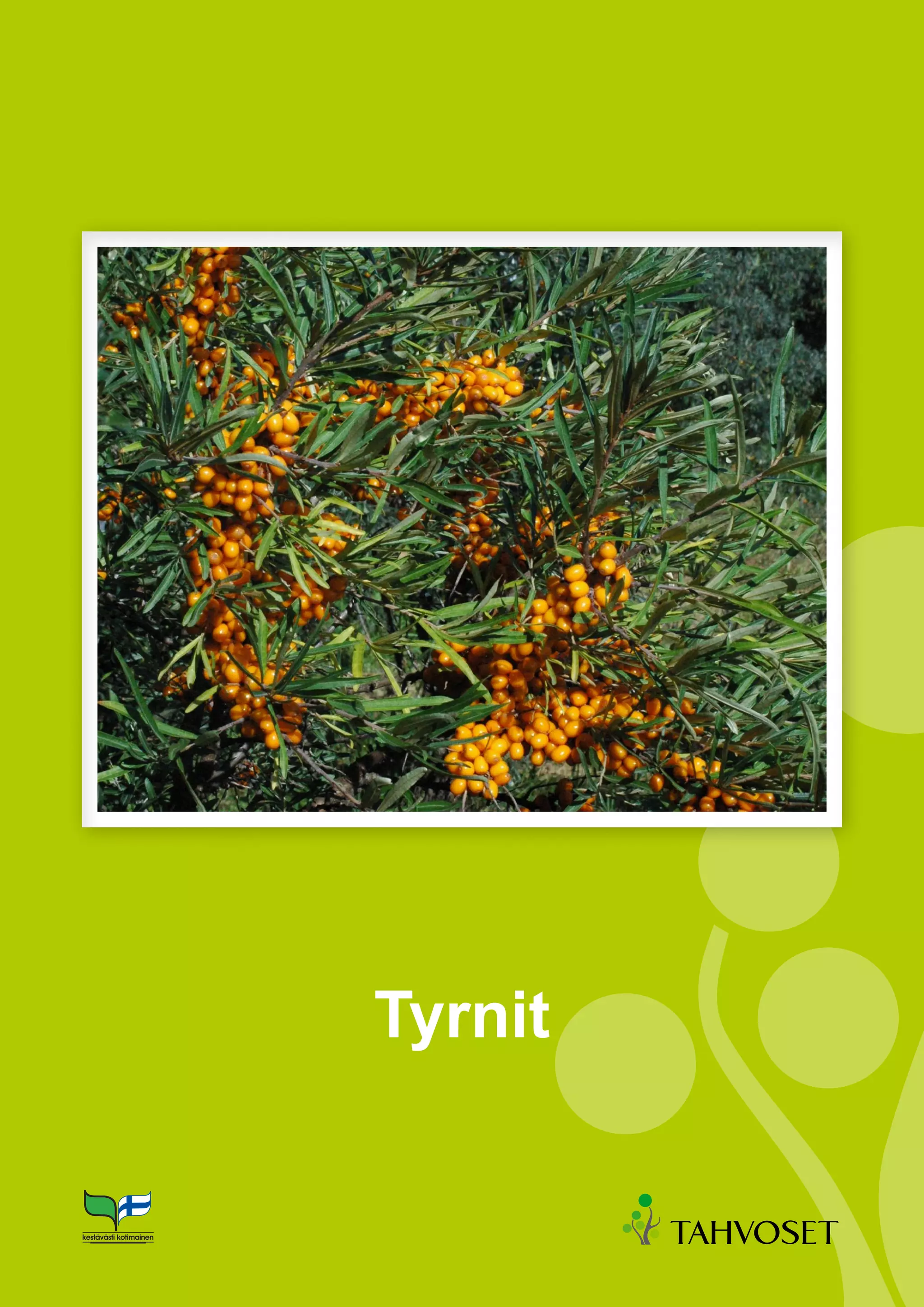 Tyrnimarjaesite - Puutarha Tahvoset | PDF