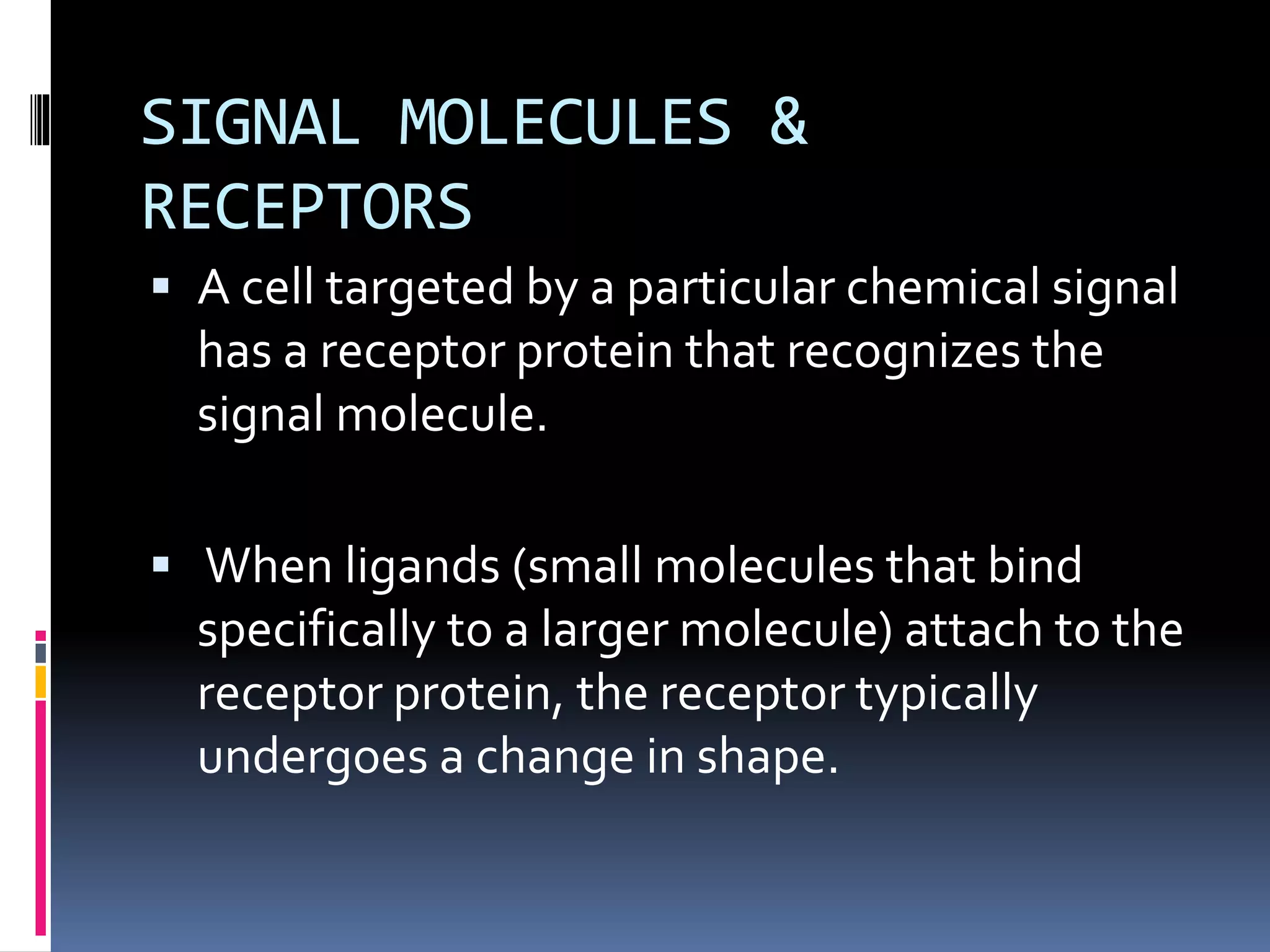 Tyrosine kinase linked receptors | PPTX