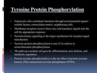 Tyrosine kinase linked receptors | PPTX