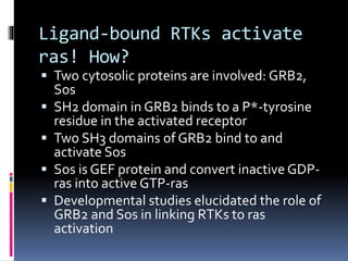 Tyrosine kinase linked receptors | PPTX