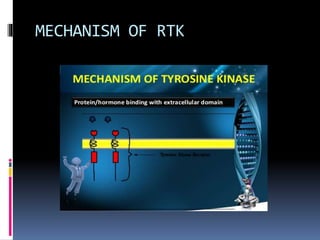 Tyrosine kinase linked receptors | PPTX