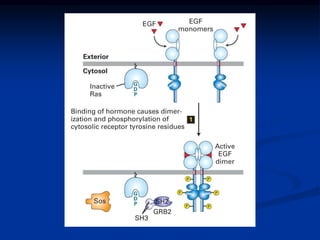 Enzyme linked cell surface receptors | PPTX