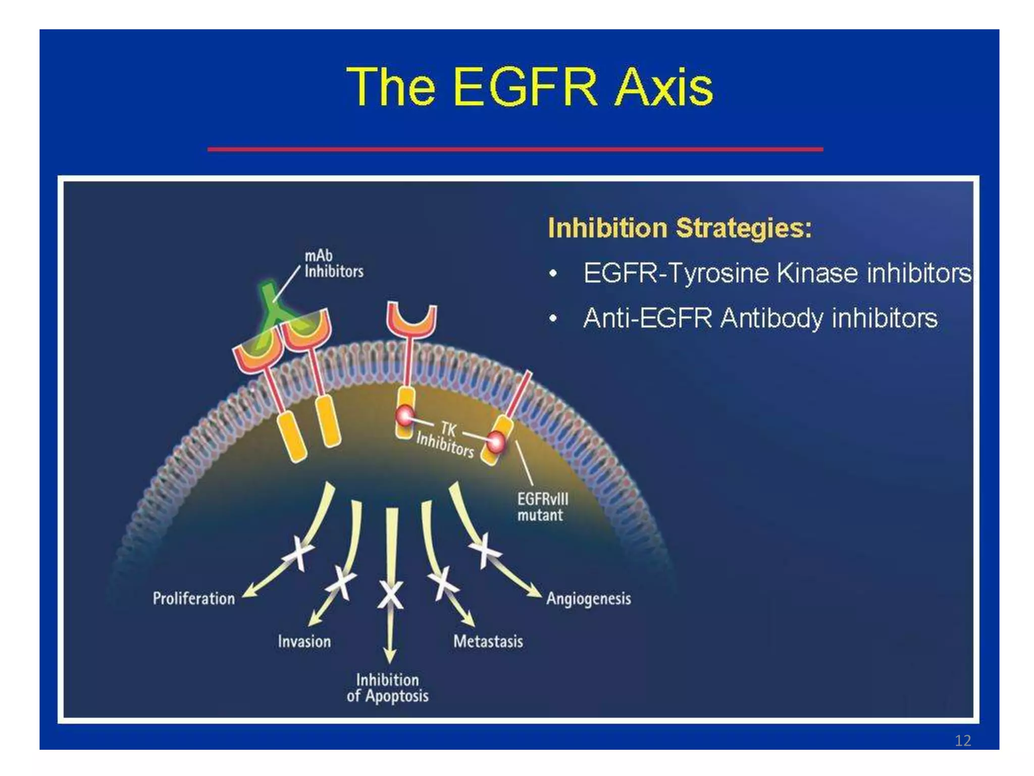 Tyrosine kinase inhibitors | PPTX