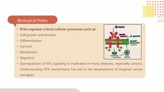 Explain tyrosine kinase linked receptors.pptx