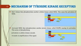 Tyrosine Kinase Receptor Animation