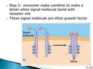 tyrosine kinase receptors.pptx