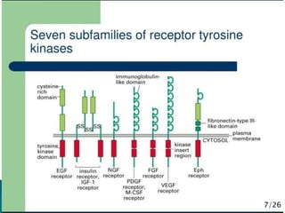 tyrosine kinase receptors.pptx