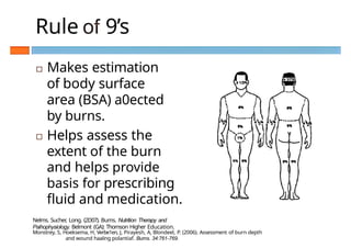 Types if burns and it's treatment detail pptx | PPTX