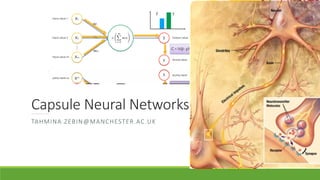 Capsules Neural Network: Basics | PDF | Free Download