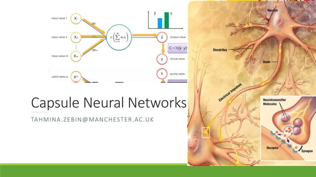Capsules Neural Network: Basics | PDF | Free Download