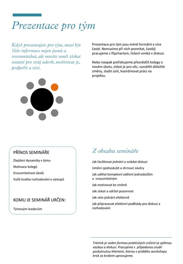 Koncepcni prezentace | PDF