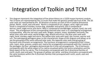 Tzolkin application to the human body | PPTX