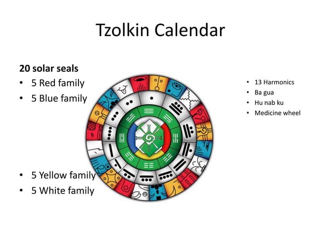Tzolkin application to the human body | PPT