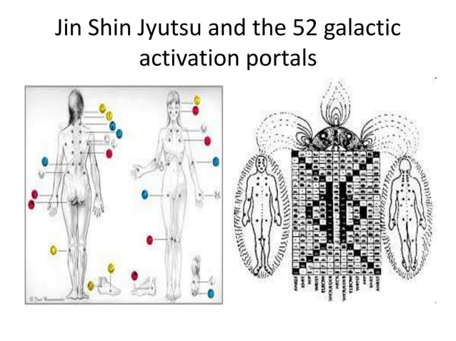 Tzolkin application to the human body | PPT