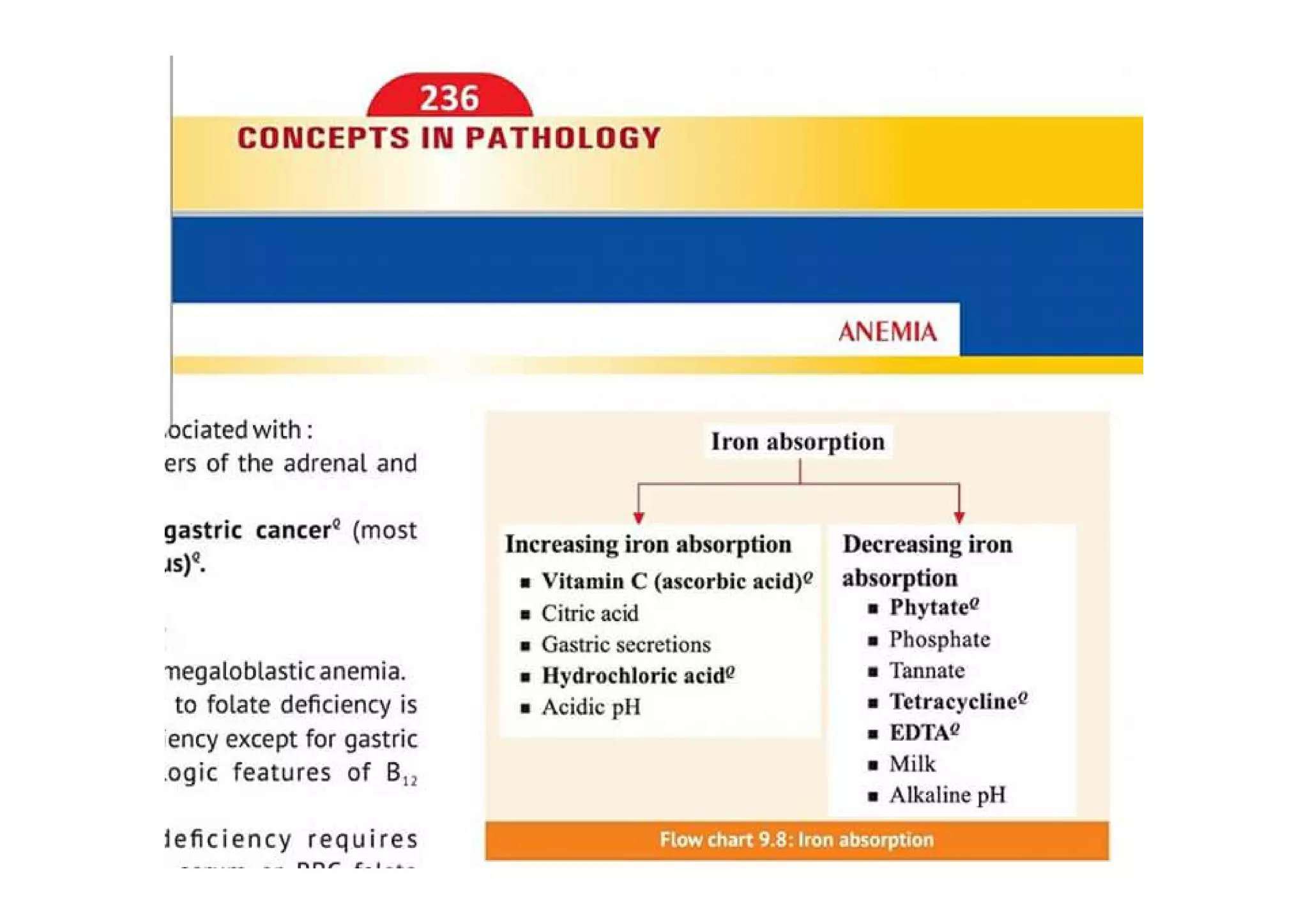 Pathology questions 1 | PDF