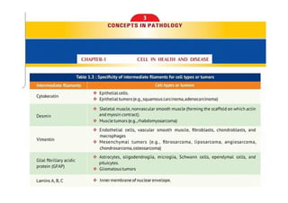 Pathology questions 1 | PPT
