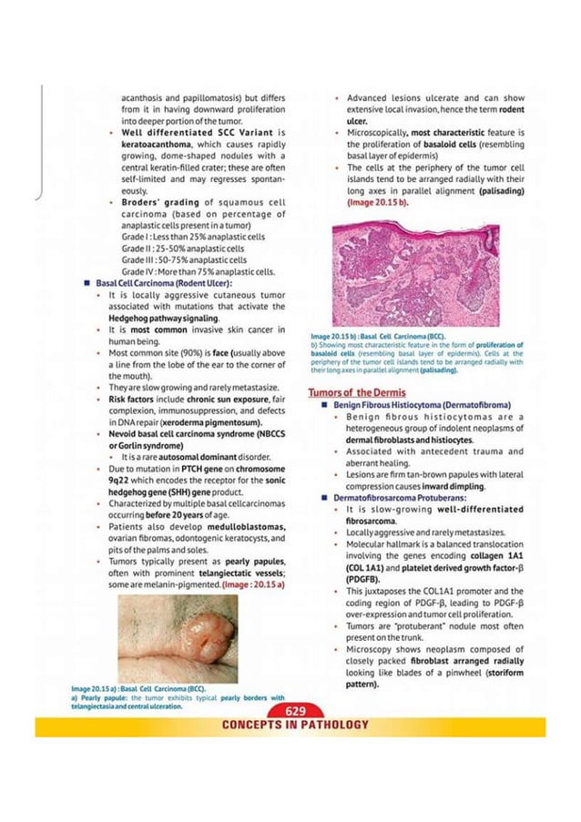 Pathology questions 1 | PDF