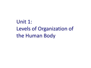 Levels of organization of human body | PDF