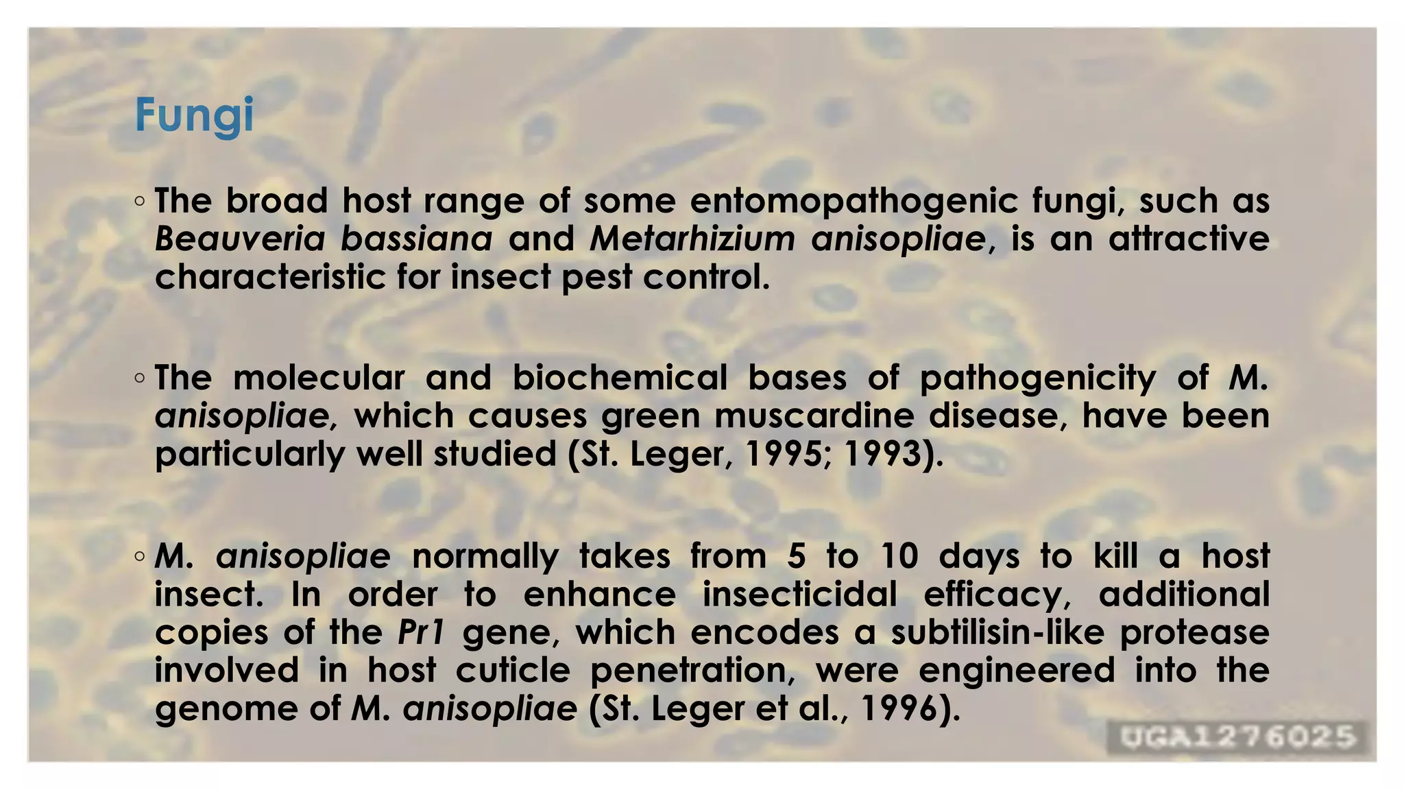 Scope of Genetic Engineered Microbes and Parasitoids in Biological ...