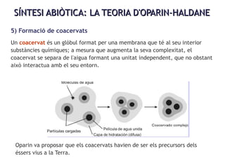 U.D. 3 LA SÍNTESI ABIÒTICA | ODP