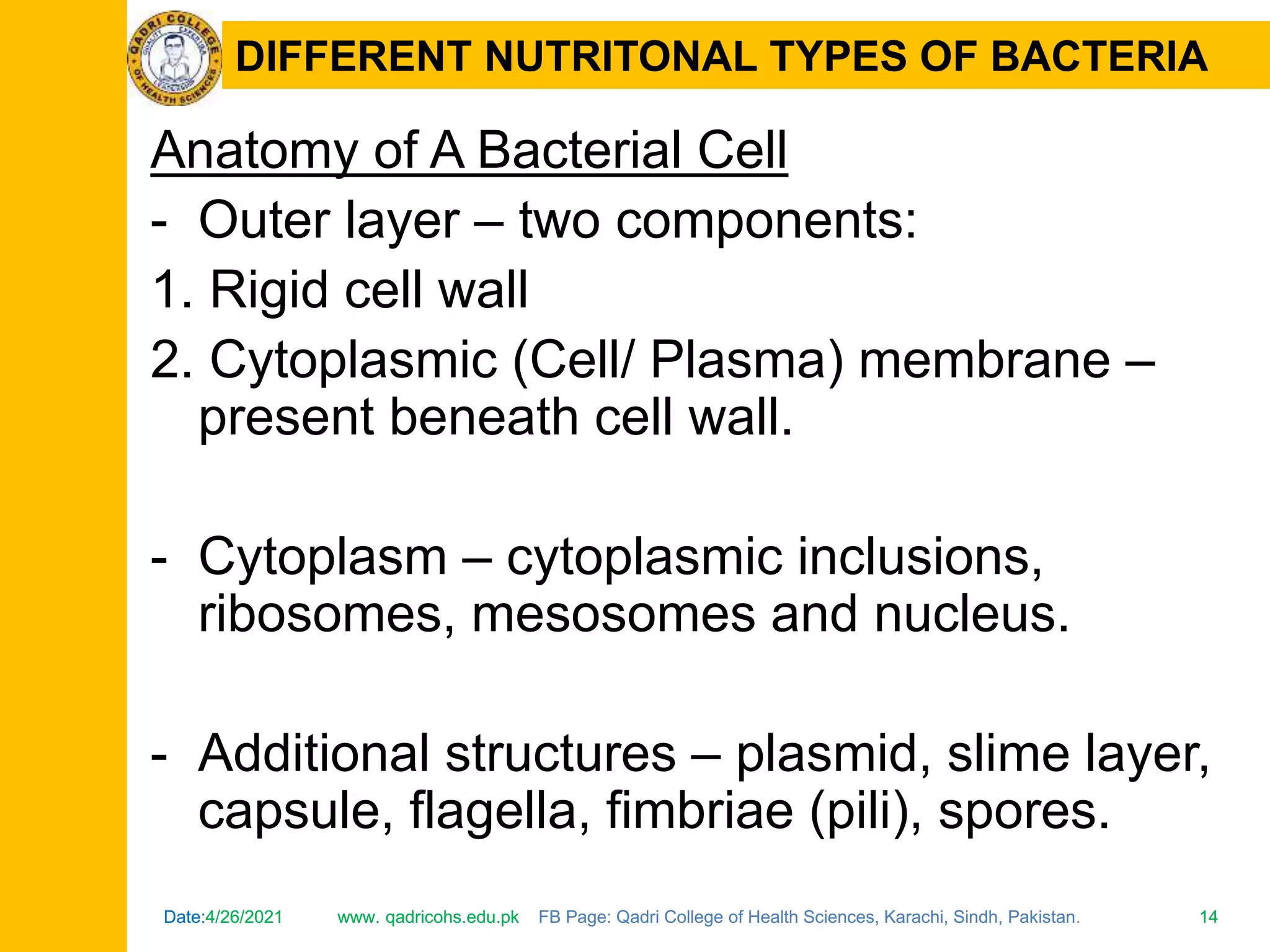 U 1, 7 of 7 classification of bacteria | PPTX