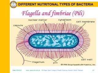 U 1, 7 of 7 classification of bacteria | PPTX