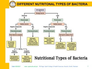 U 1, 7 of 7 classification of bacteria | PPTX
