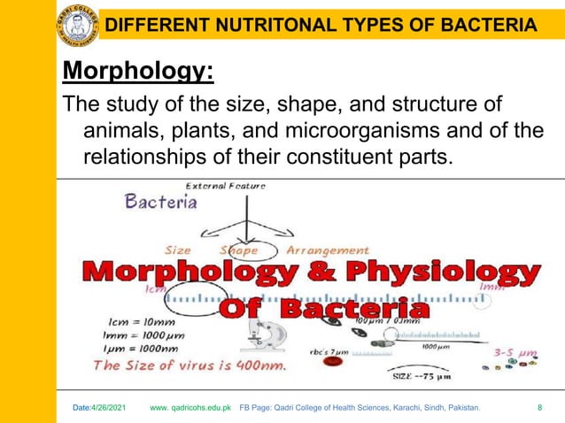U 1, 7 of 7 classification of bacteria | PPTX
