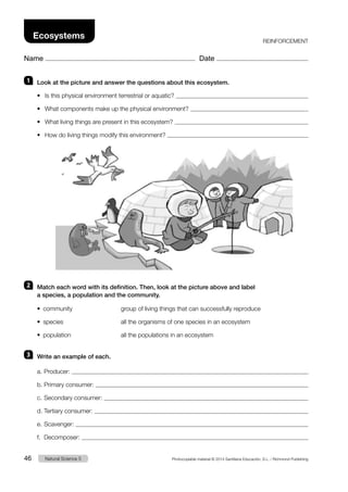 U.4 naturales-ecosystem 5 | PDF